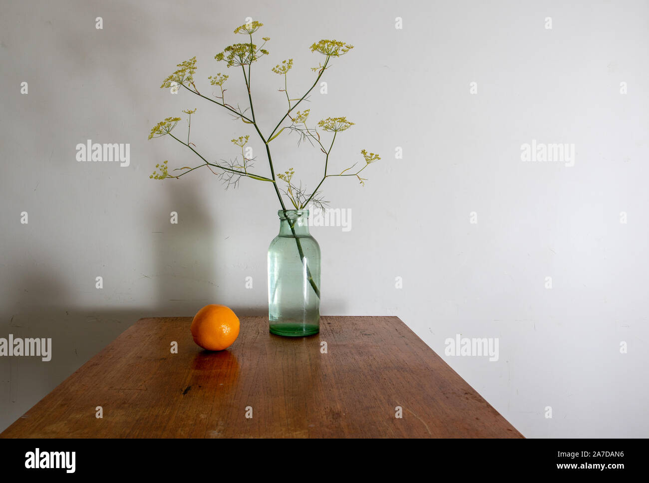 Flowering fennel in a large glass bottle with an orange Stock Photo - Alamy
