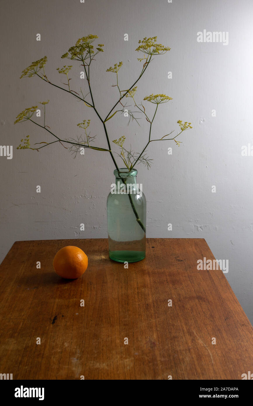 Flowering fennel in a large glass bottle with an orange Stock Photo - Alamy
