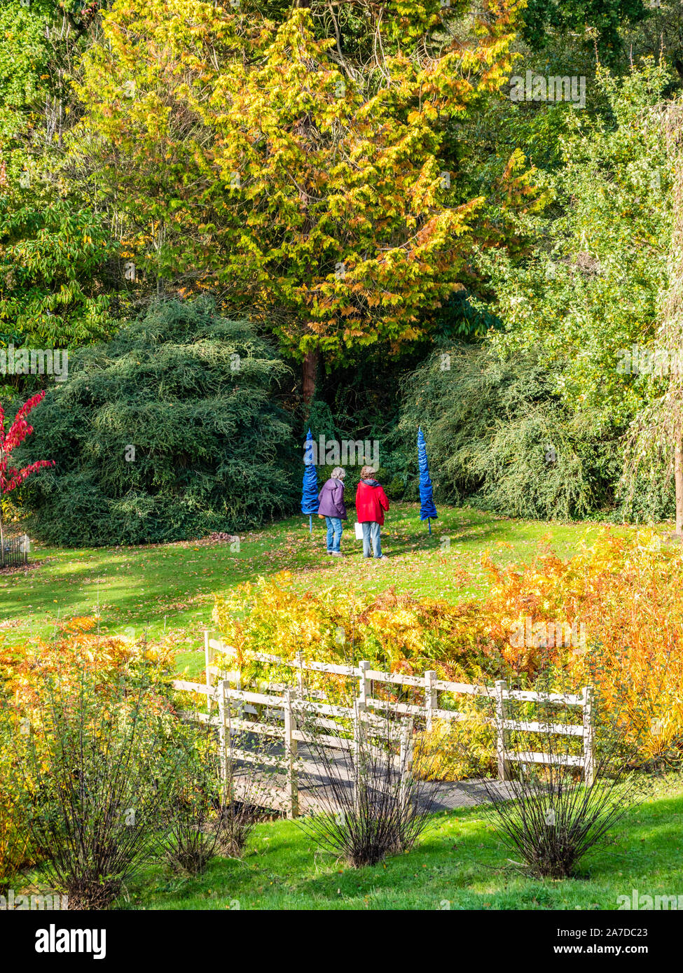 Autumn Landscape, The Hidden Gardens, The Savill Garden, Windsor Great ...