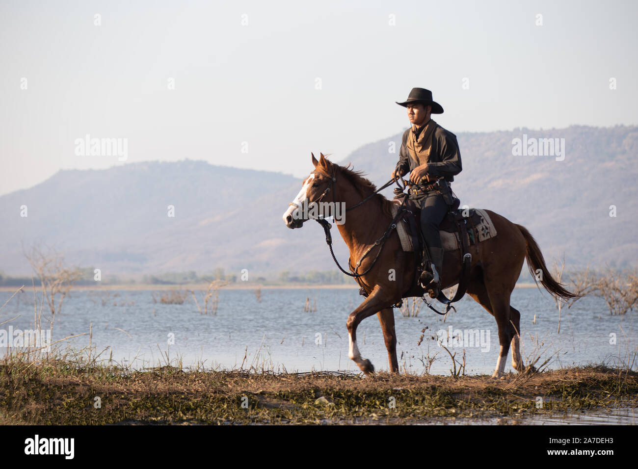 rear view of cowboy gun fight Stock Photo - Alamy