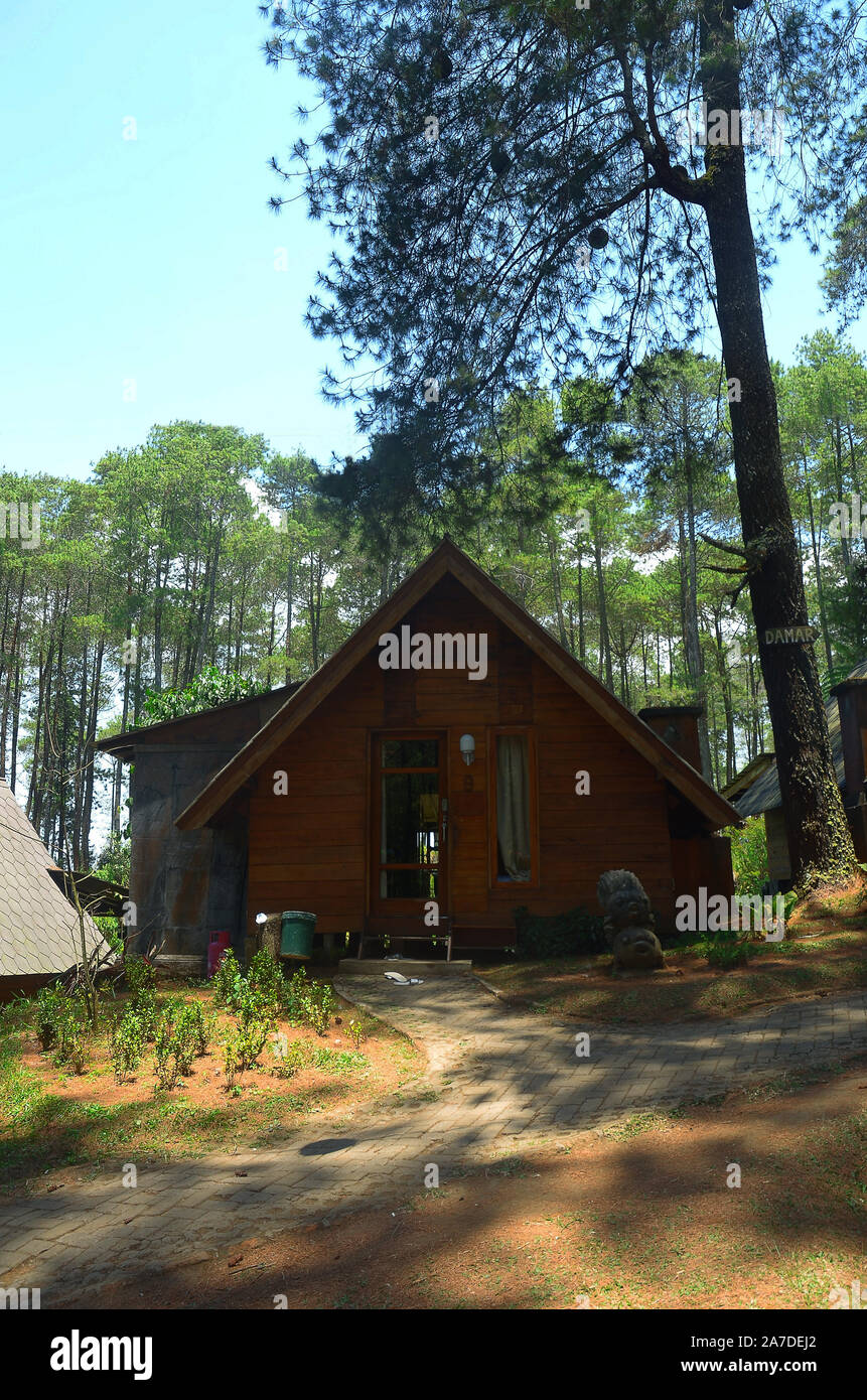 old wooden house in the forest, Bandung, West Java, Indonesia Stock ...