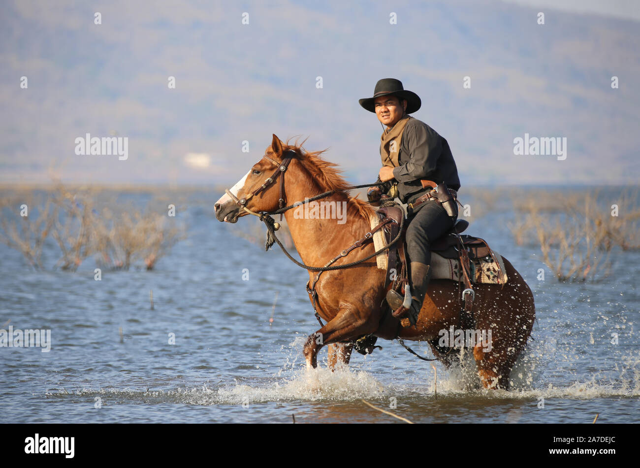 rear view of cowboy gun fight Stock Photo - Alamy