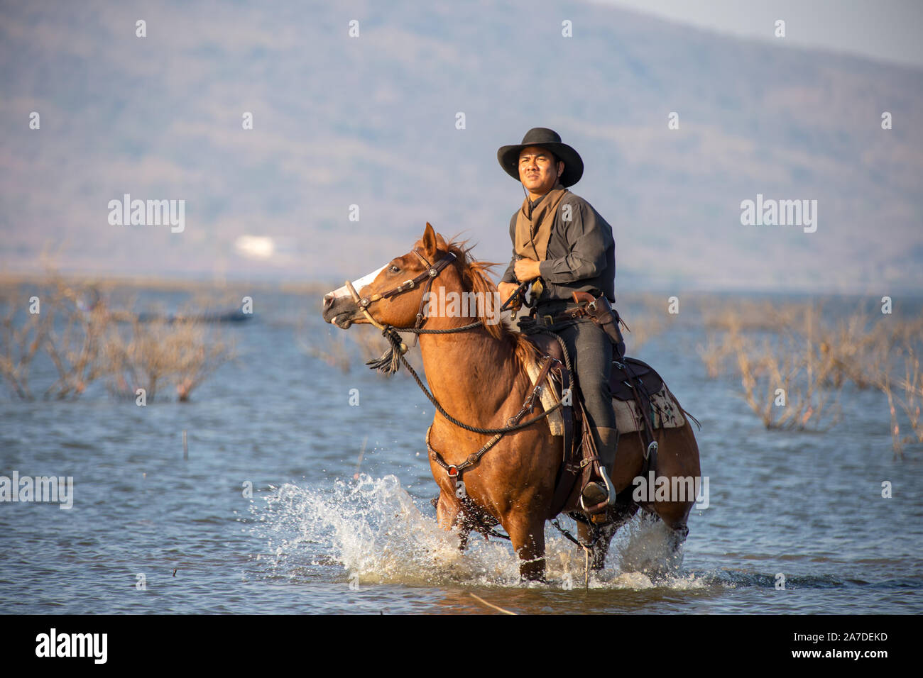 rear view of cowboy gun fight Stock Photo - Alamy