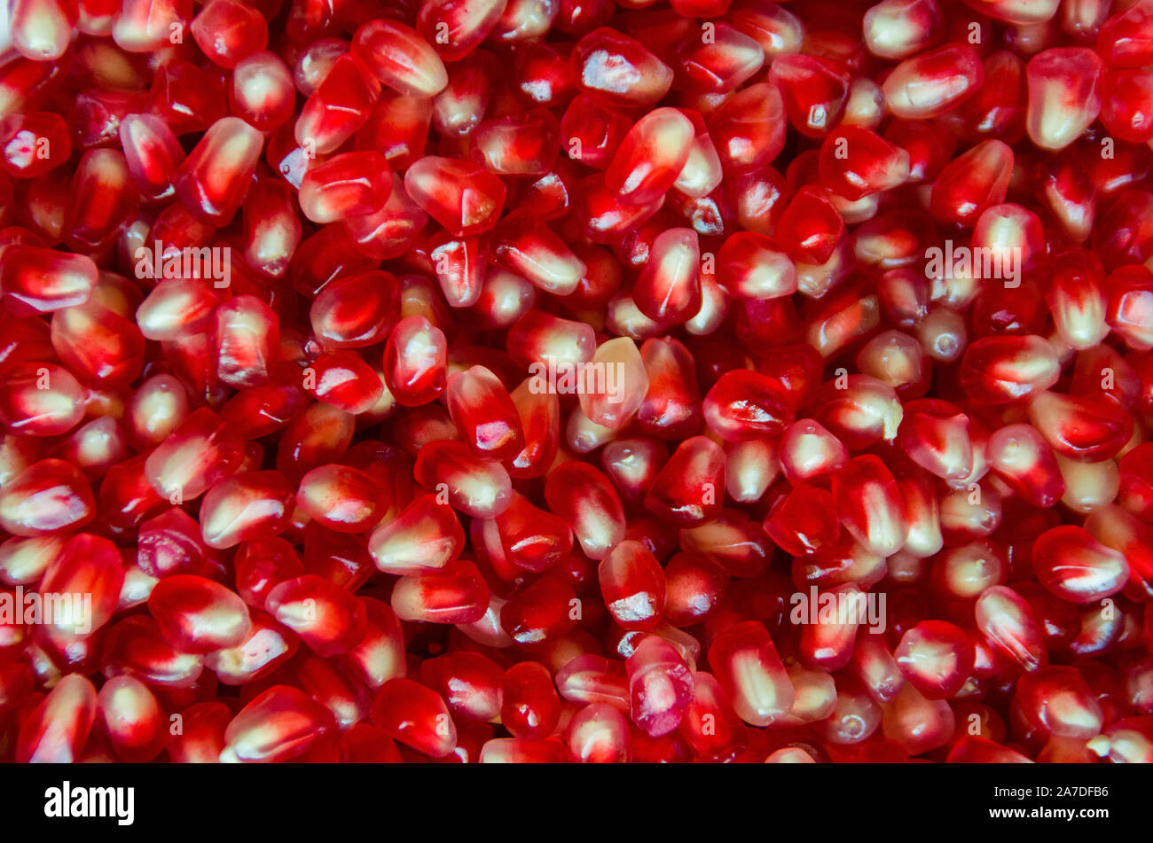 Pomegranate seeds close up. Food / fruit background Stock Photo - Alamy