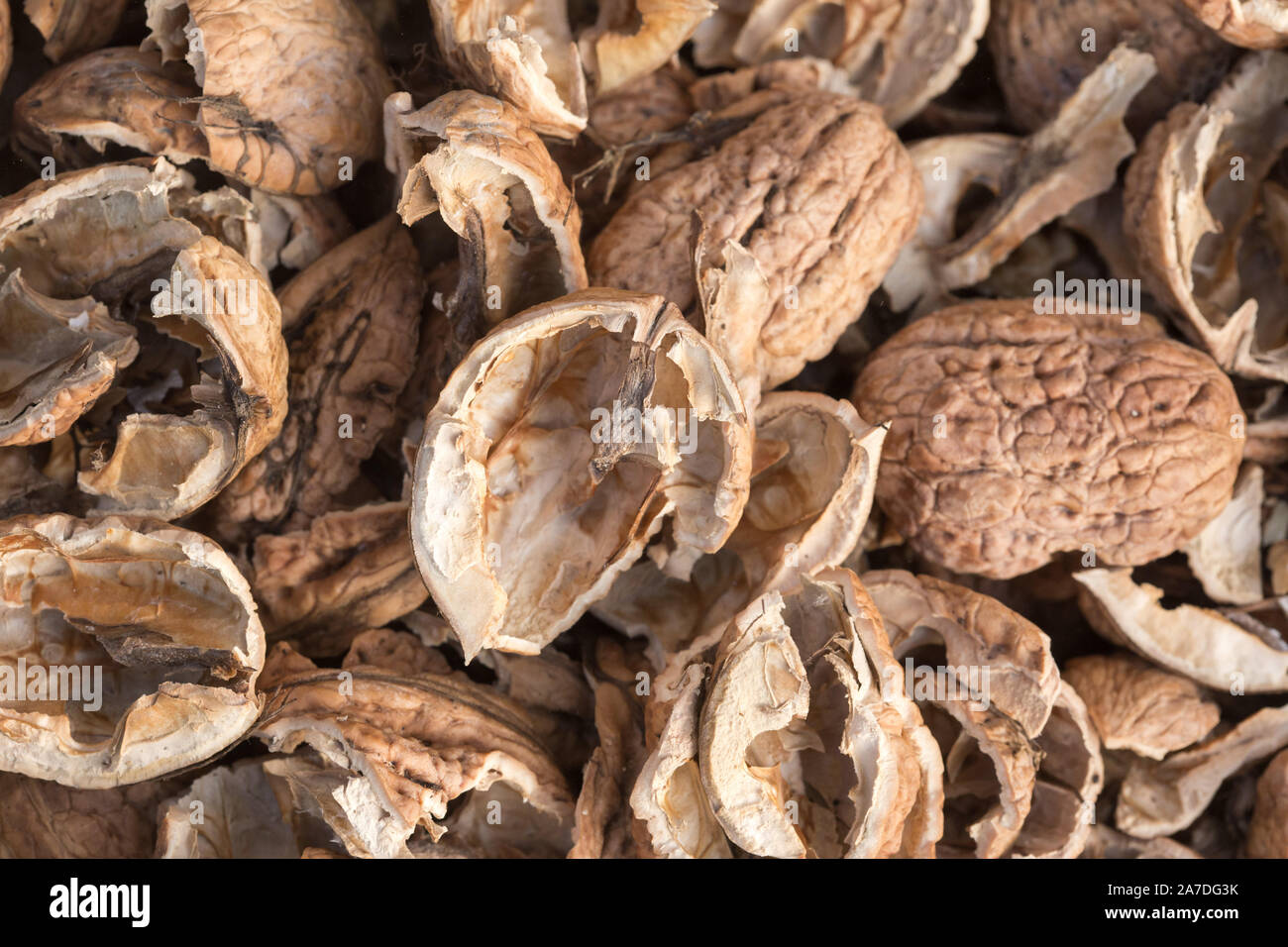 Walnut shells hi-res stock photography and images - Alamy