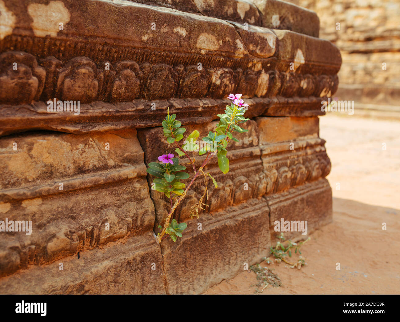 Cambodian Acient Murals and cave paintings on Agkor Wat temple walls ...