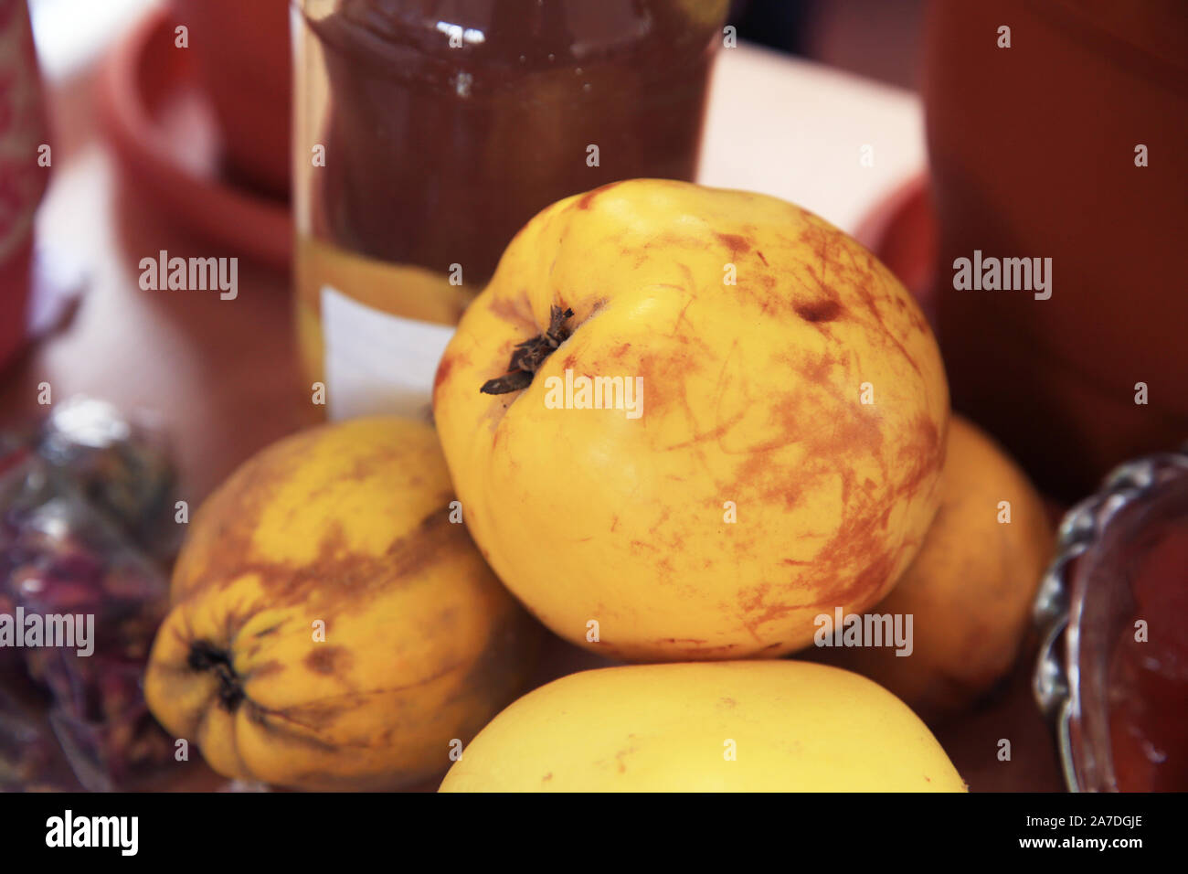 Harvest ripe quinces collected in boxes .Quince Cydonia oblonga fruits ...