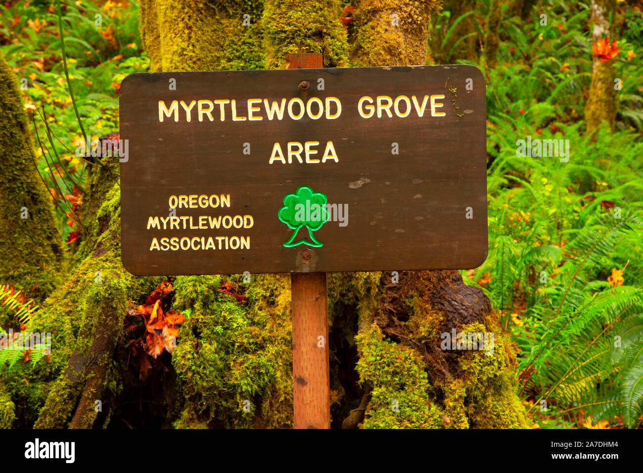 Myrtlewood grove sign, Siskiyou National Forest, Rogue-Coquille ...