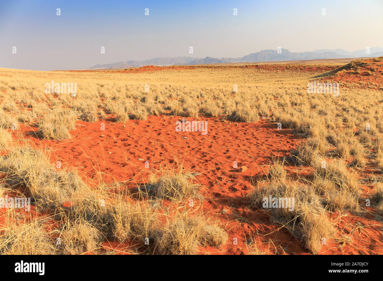 Large Fairy Circle in Namibia, Africa Stock Photo - Alamy