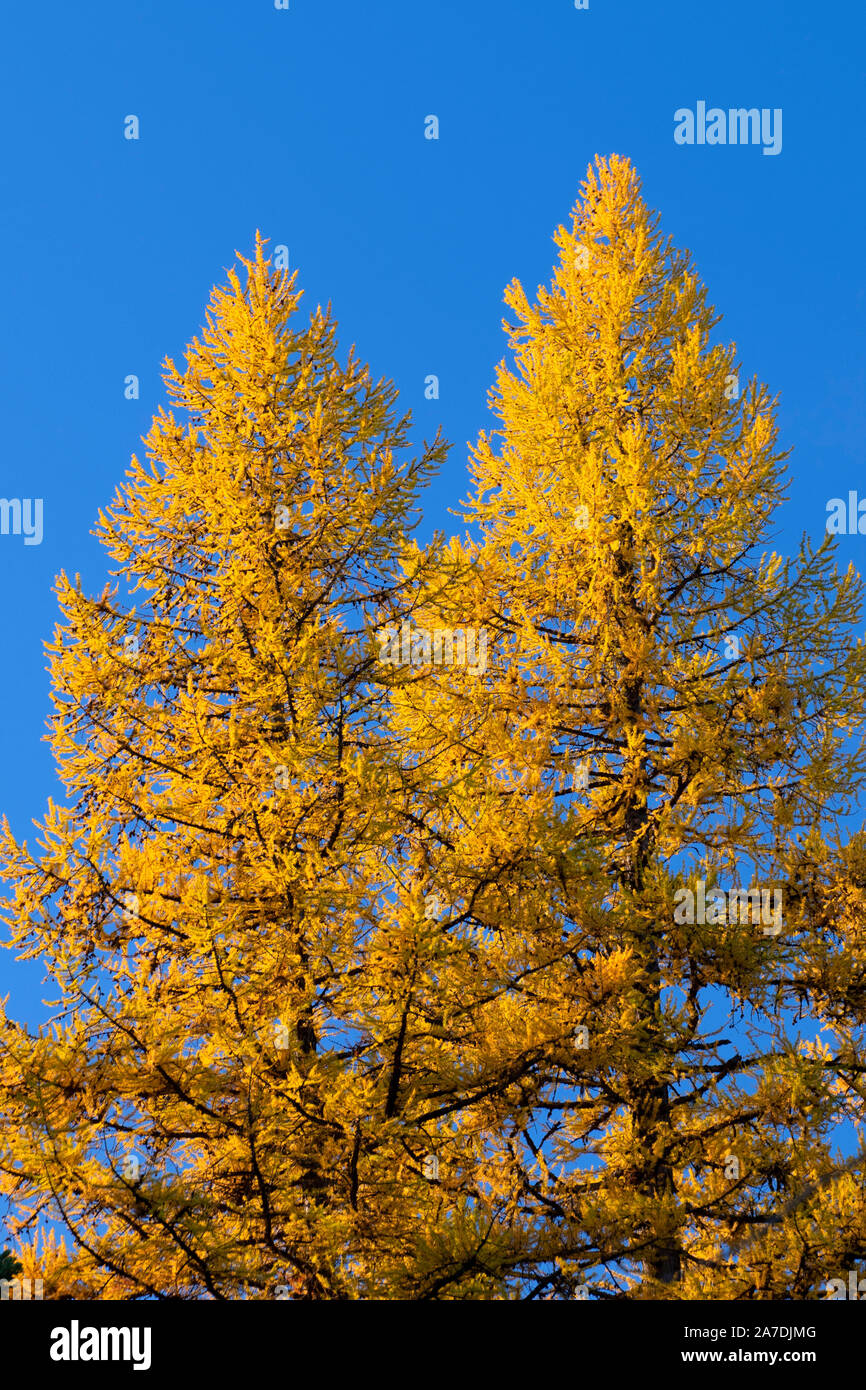 Ochoco mountains hi-res stock photography and images - Alamy
