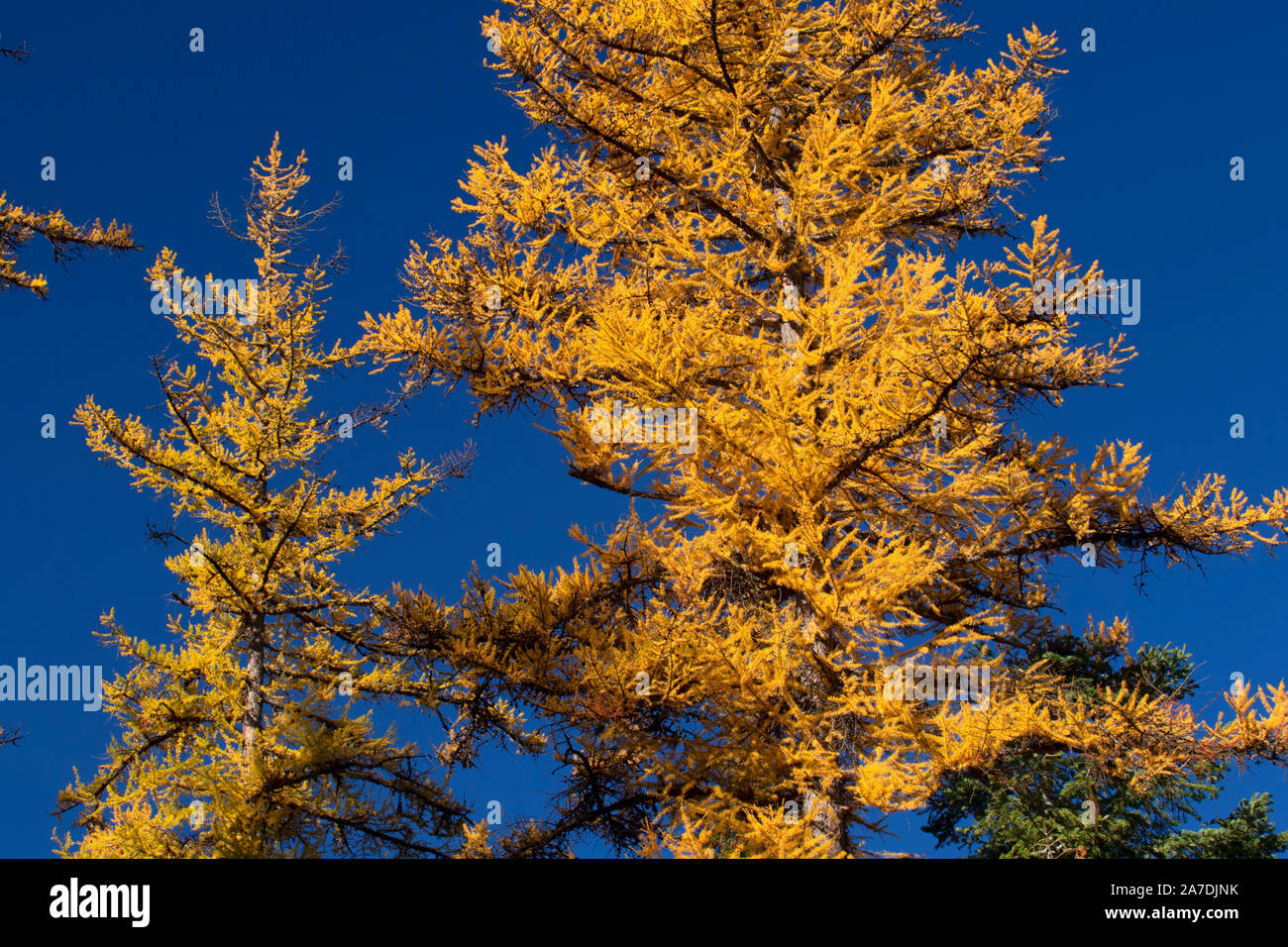 Ochoco mountains hi-res stock photography and images - Alamy