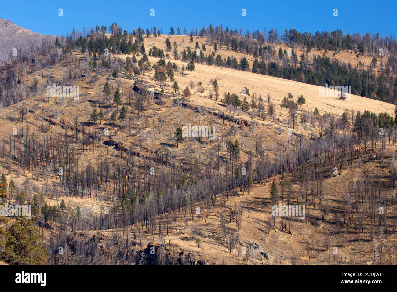 Malheur national forest hi-res stock photography and images - Alamy