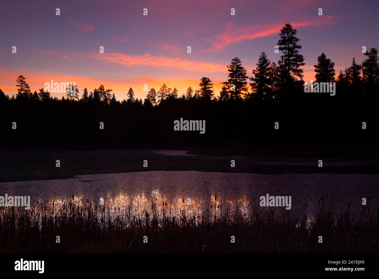 Bull Prairie Lake dawn, Umatilla National Forest, Oregon Stock Photo ...