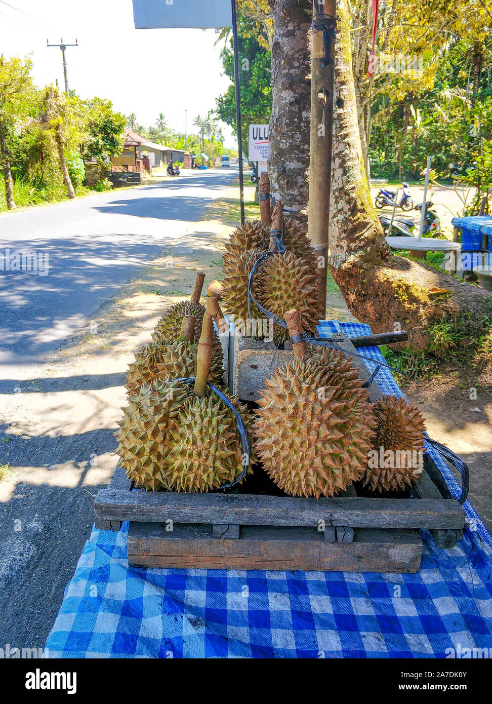 Durian in a roadside shop in Bali island, Indonesia, vertical ...