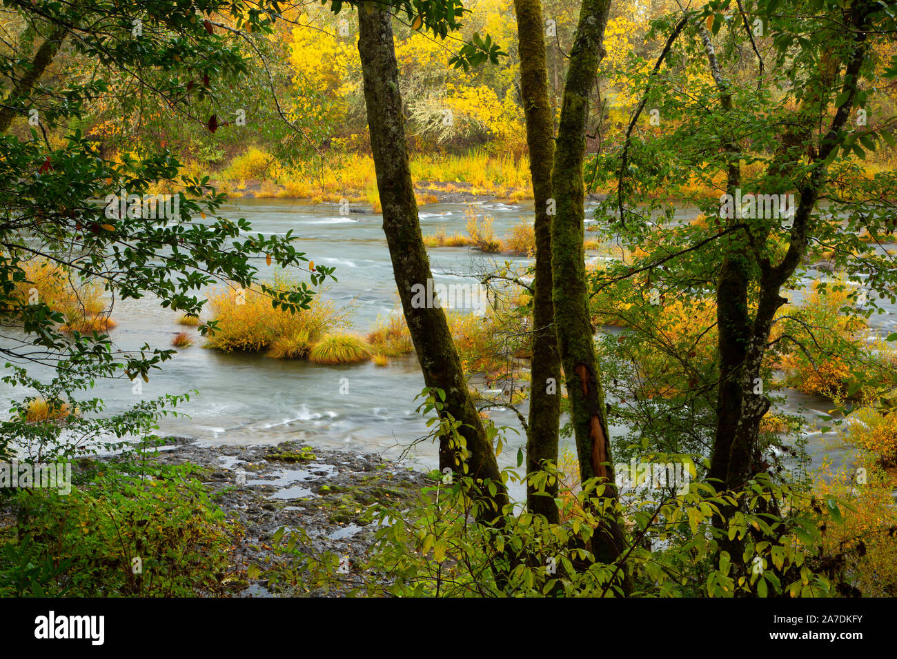 Amacher park hi-res stock photography and images - Alamy