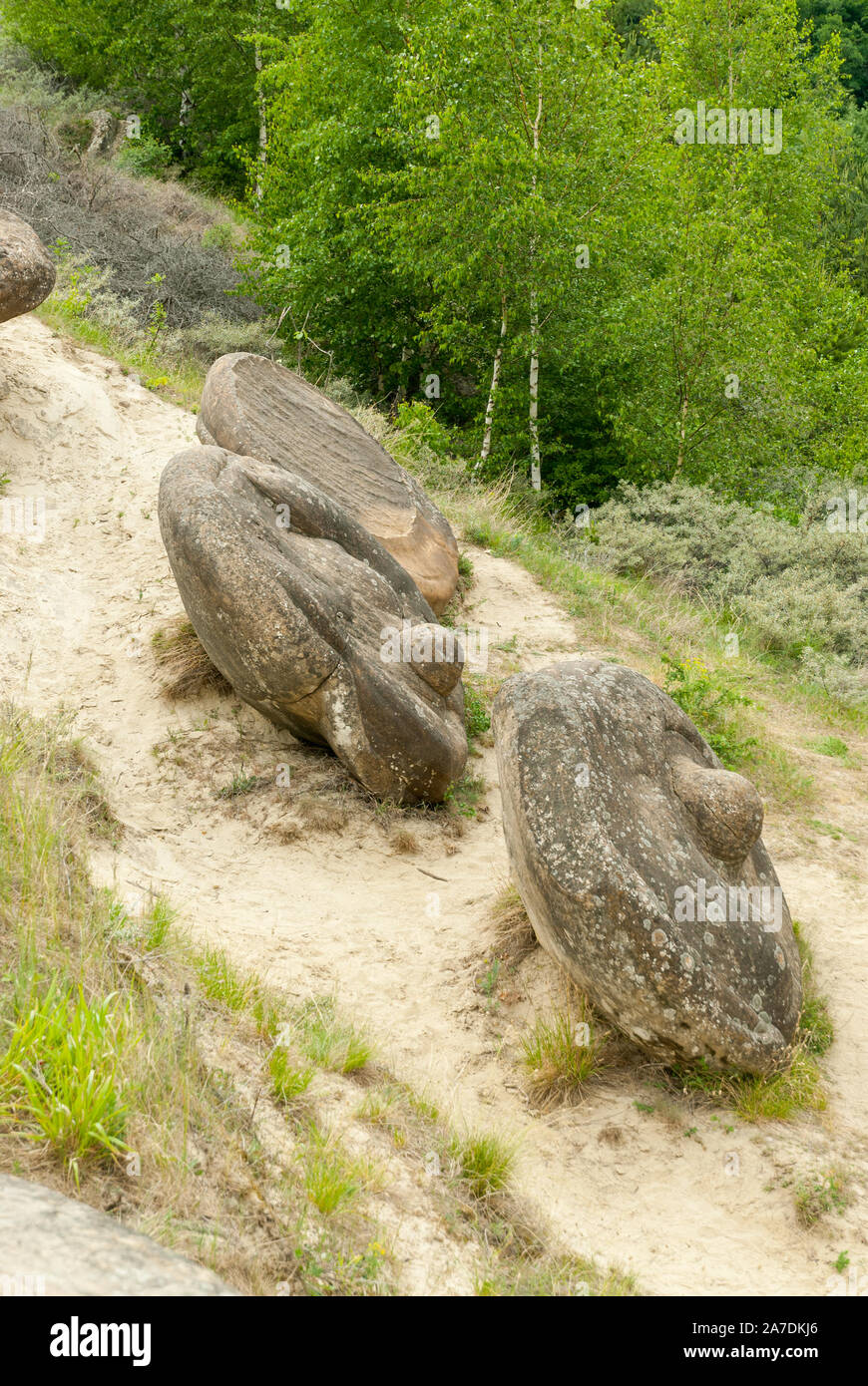 Geological environment hi-res stock photography and images - Alamy