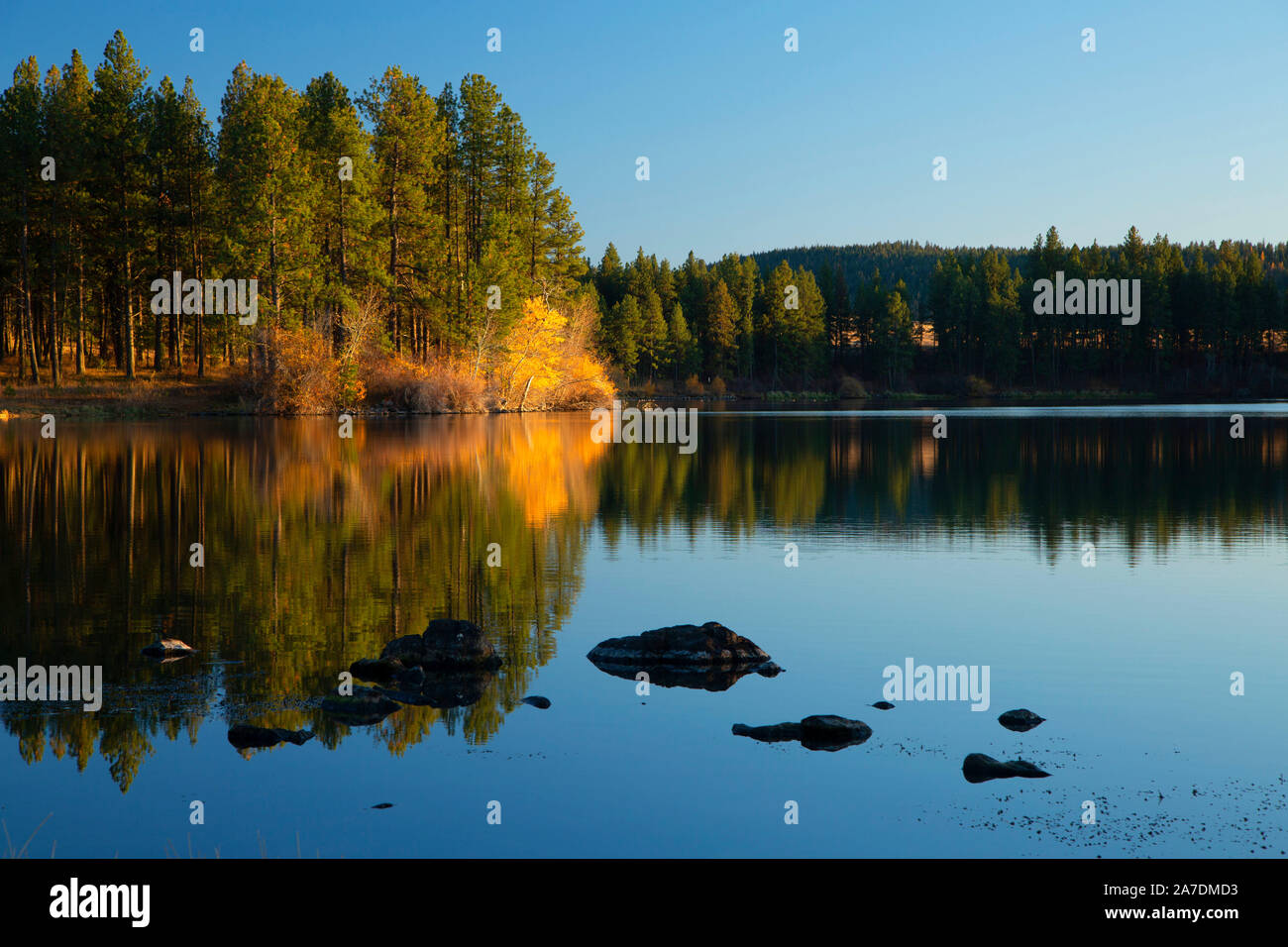 Morgan lake hi-res stock photography and images - Alamy