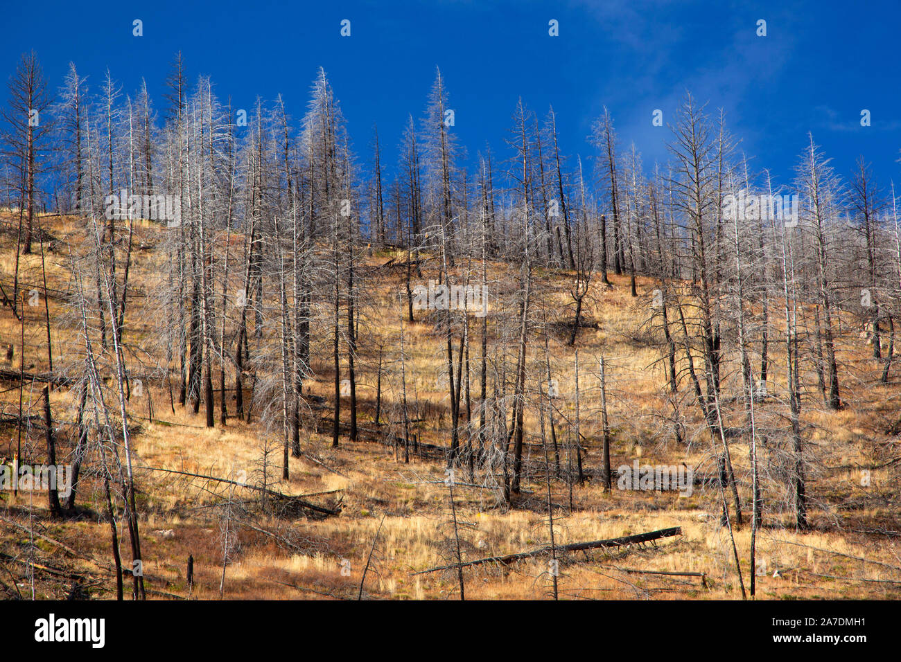 Hot and windy hi-res stock photography and images - Alamy