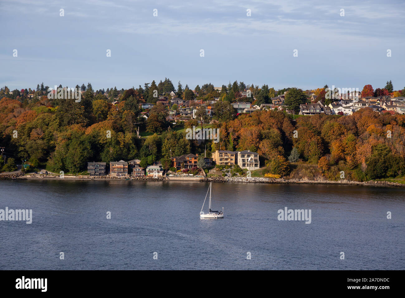Smith cove hi-res stock photography and images - Alamy