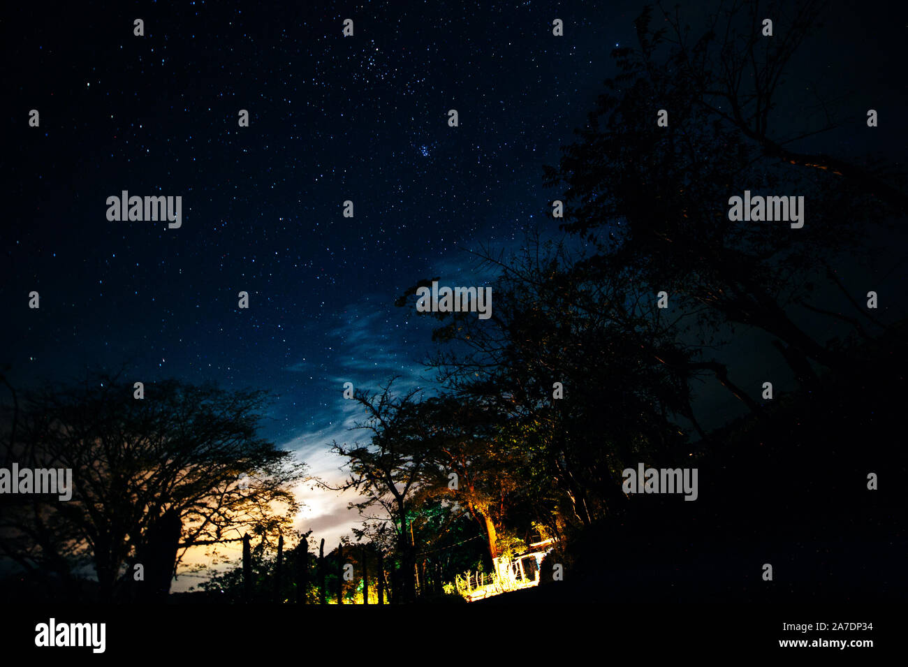 under the tree night time sky star background Stock Photo - Alamy
