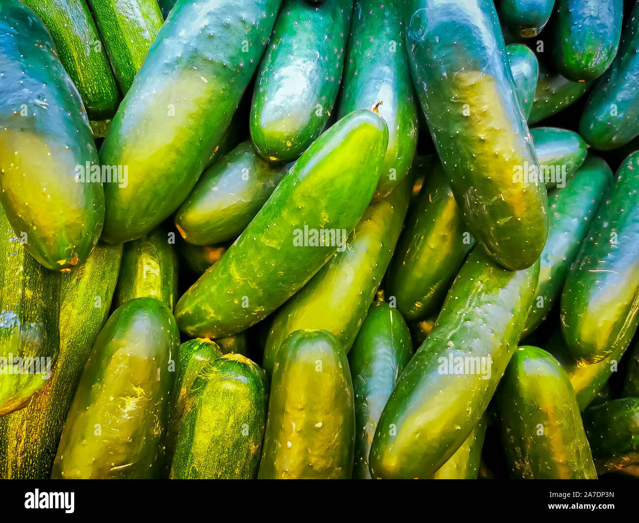 Pile Of Fresh Cucumbers top view, green background Stock Photo - Alamy