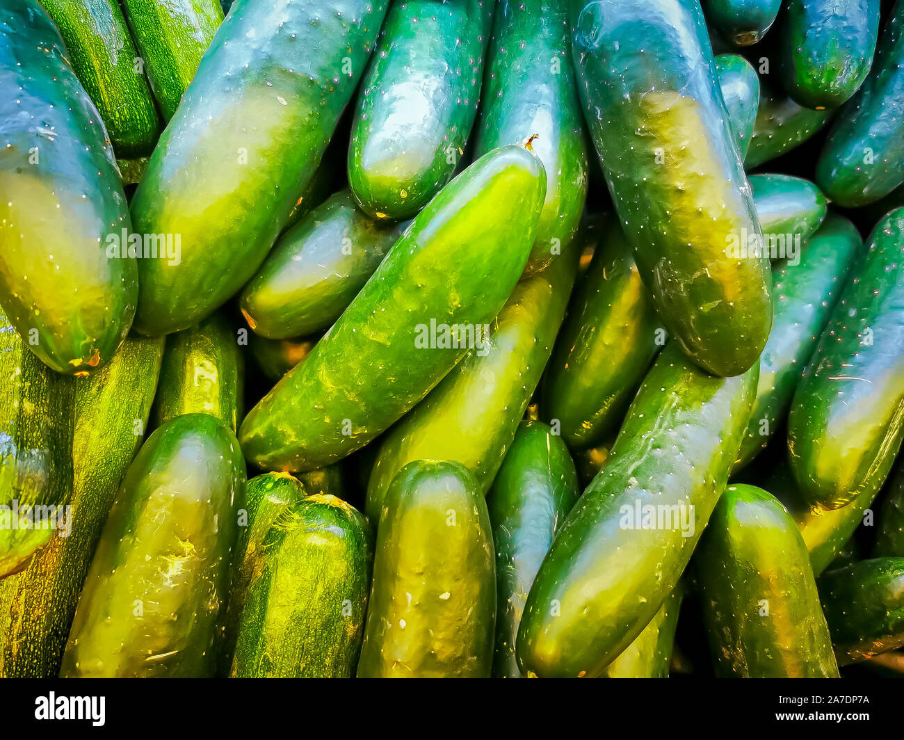 Pile Of Fresh Cucumbers top view, green background Stock Photo - Alamy