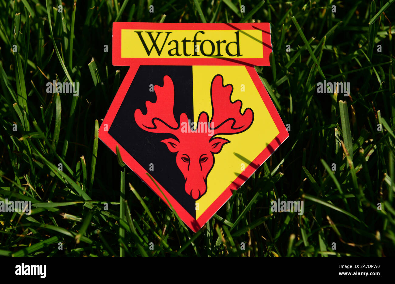Watford Football Club High Resolution Stock Photography and Images - Alamy