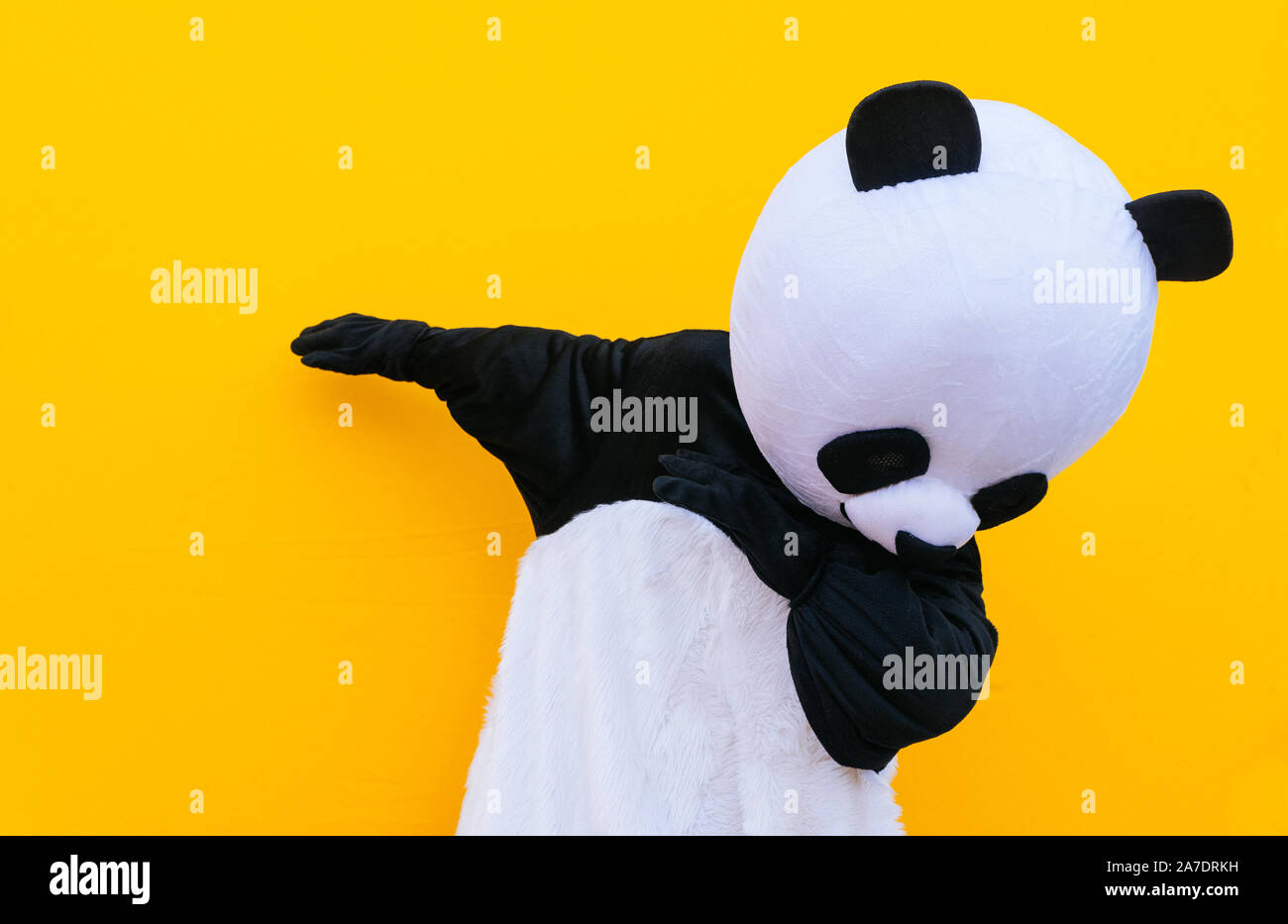 Person with panda costume dancing dab dance. Mascot character lifestyle ...