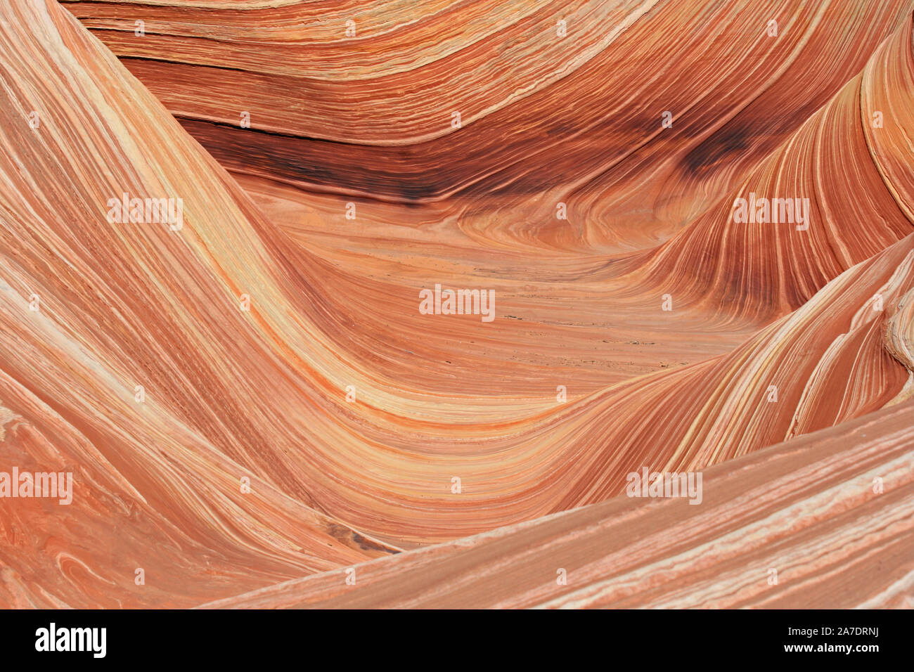 The wave arizona hi-res stock photography and images - Alamy