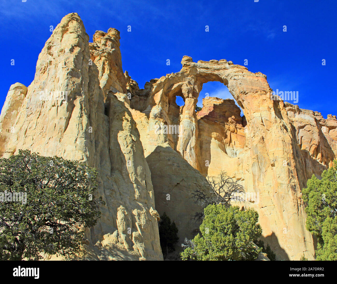 Grosvenor Arch with trees, Utah Stock Photo - Alamy