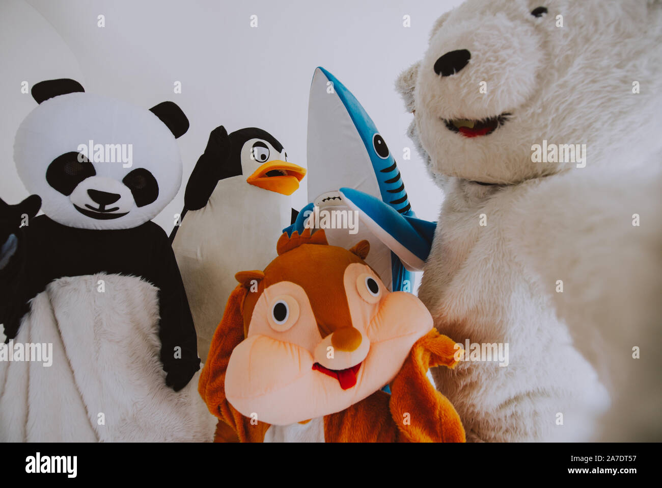 Mascotte costume hi-res stock photography and images - Alamy