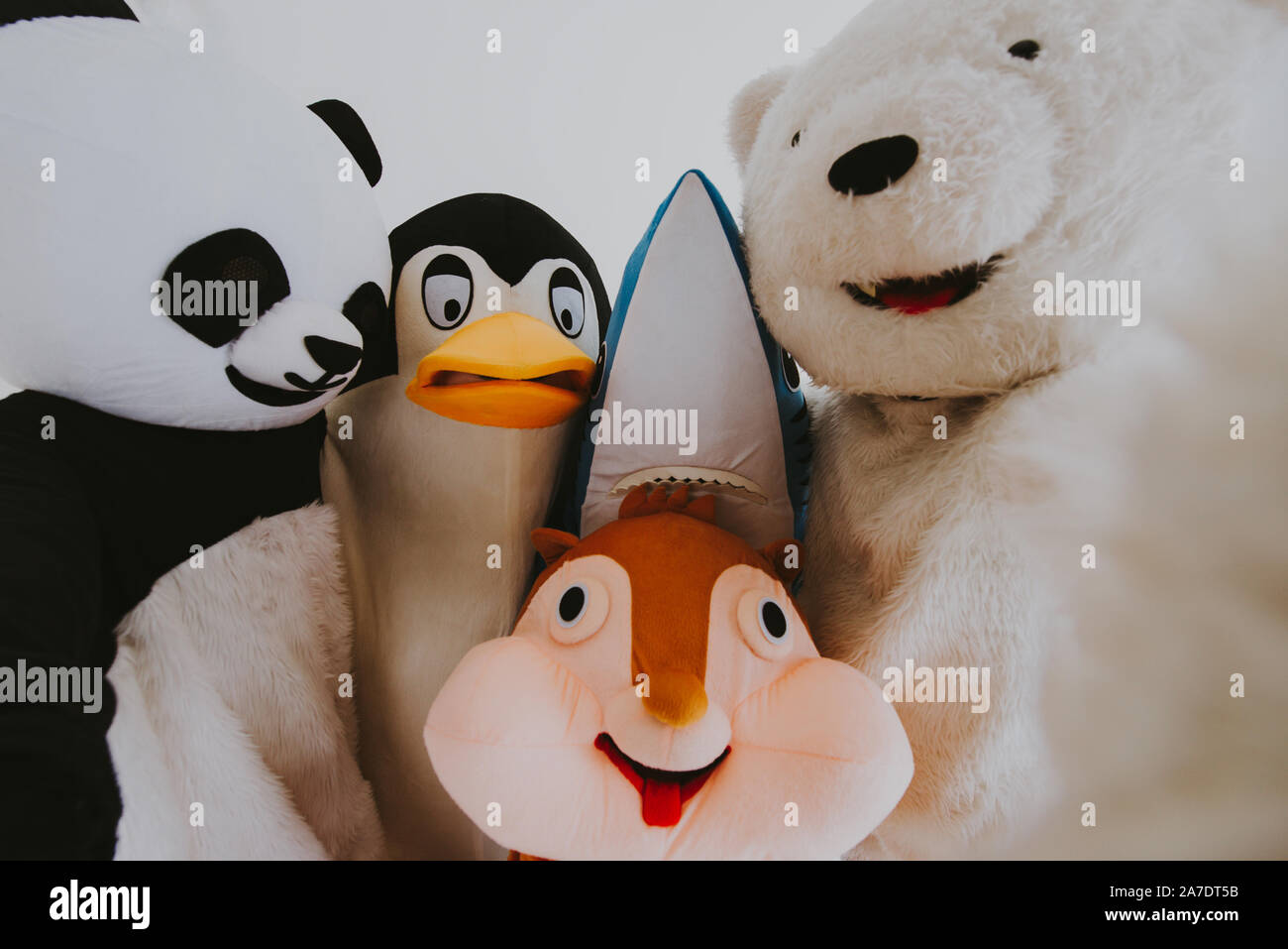 Mascotte costume hi-res stock photography and images - Alamy