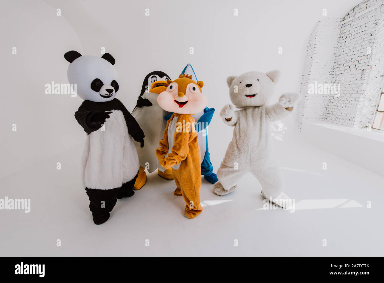 Mascotte costume hi-res stock photography and images - Alamy