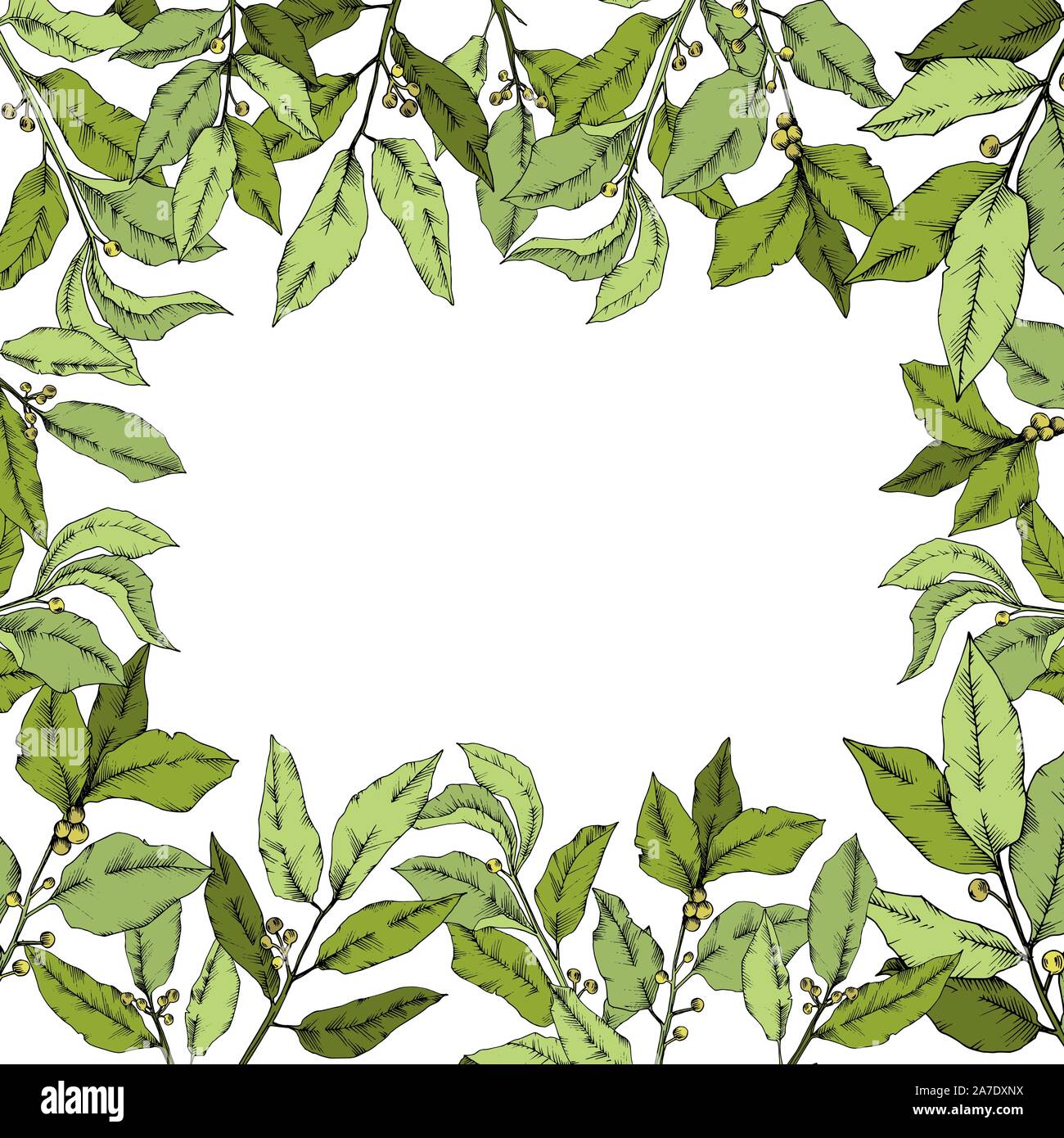 Green Leaf Border Vector