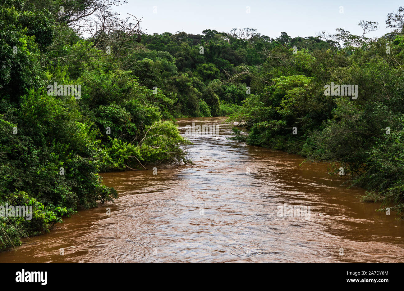Wide angle landscape view of a tropical river in rainforest jungle ...