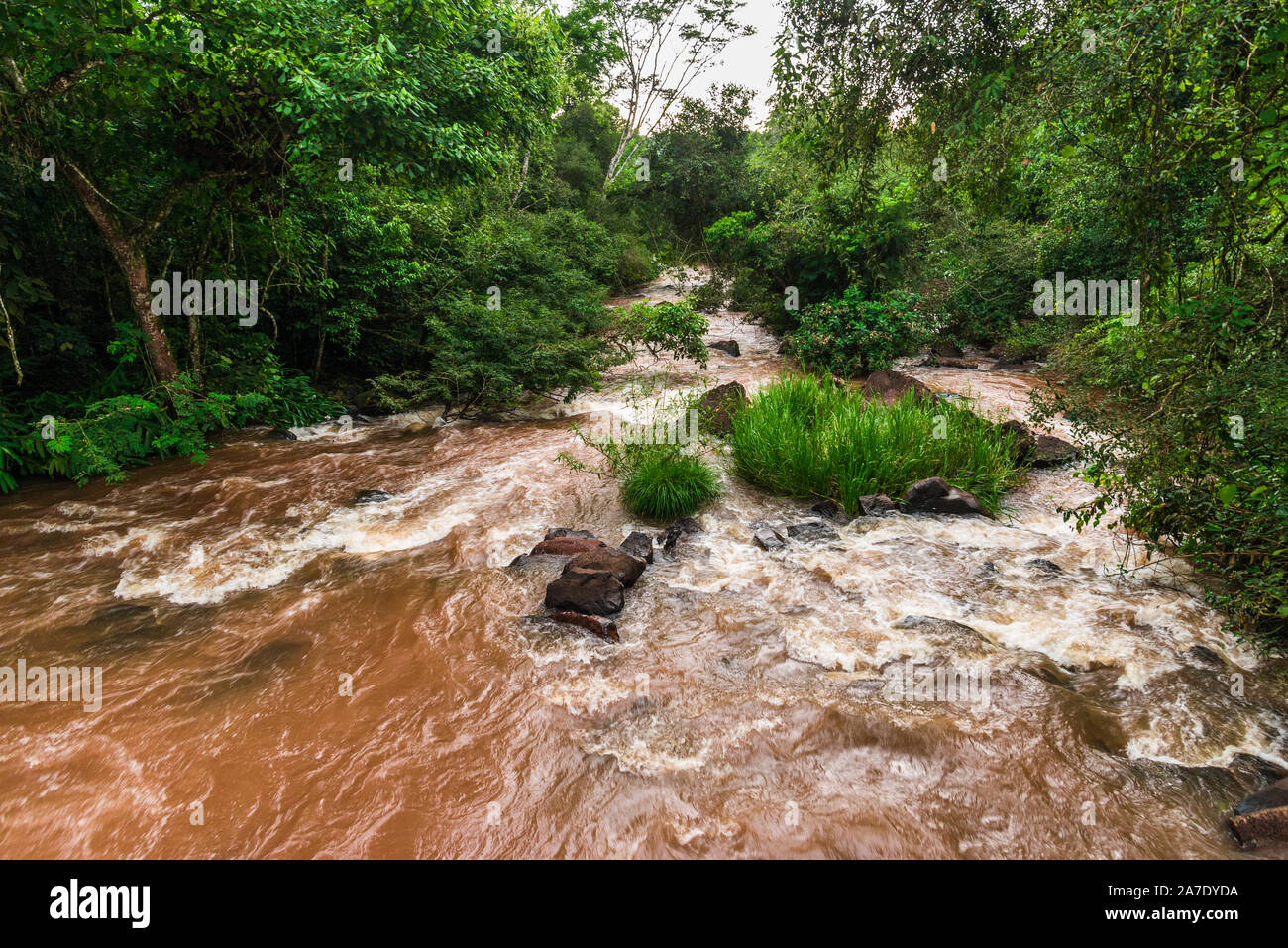 Wide angle landscape view of a tropical river in rainforest jungle ...