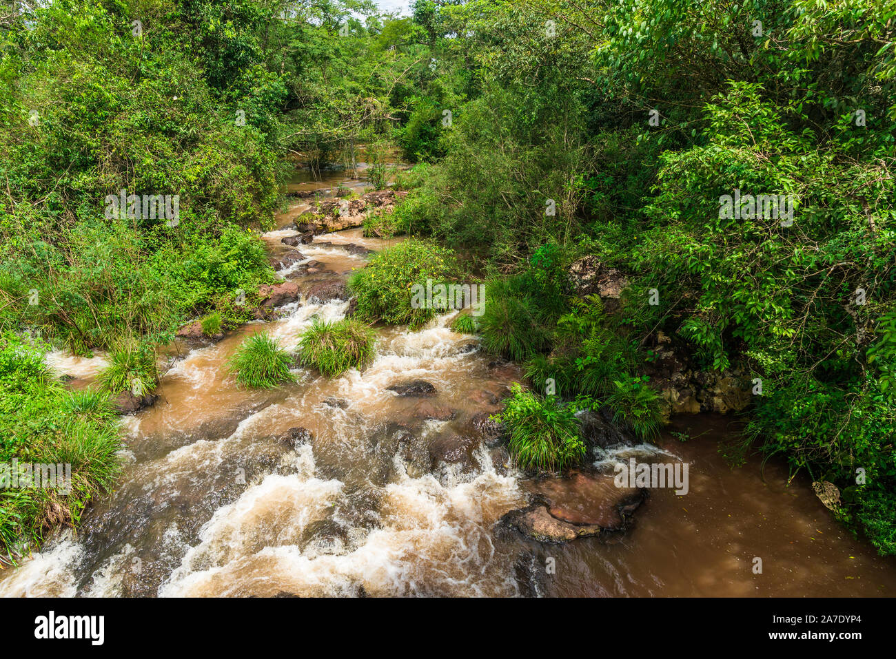 Wide angle landscape view of a tropical river in rainforest jungle ...