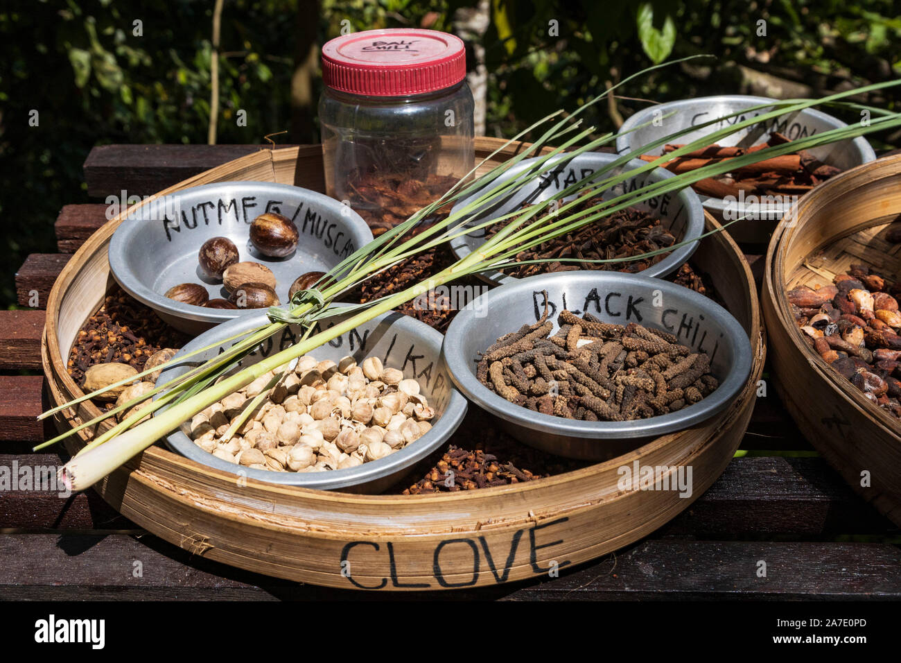Selection of Indonesian spices, Bali, Indonesia, Southeast Asia, Asia ...