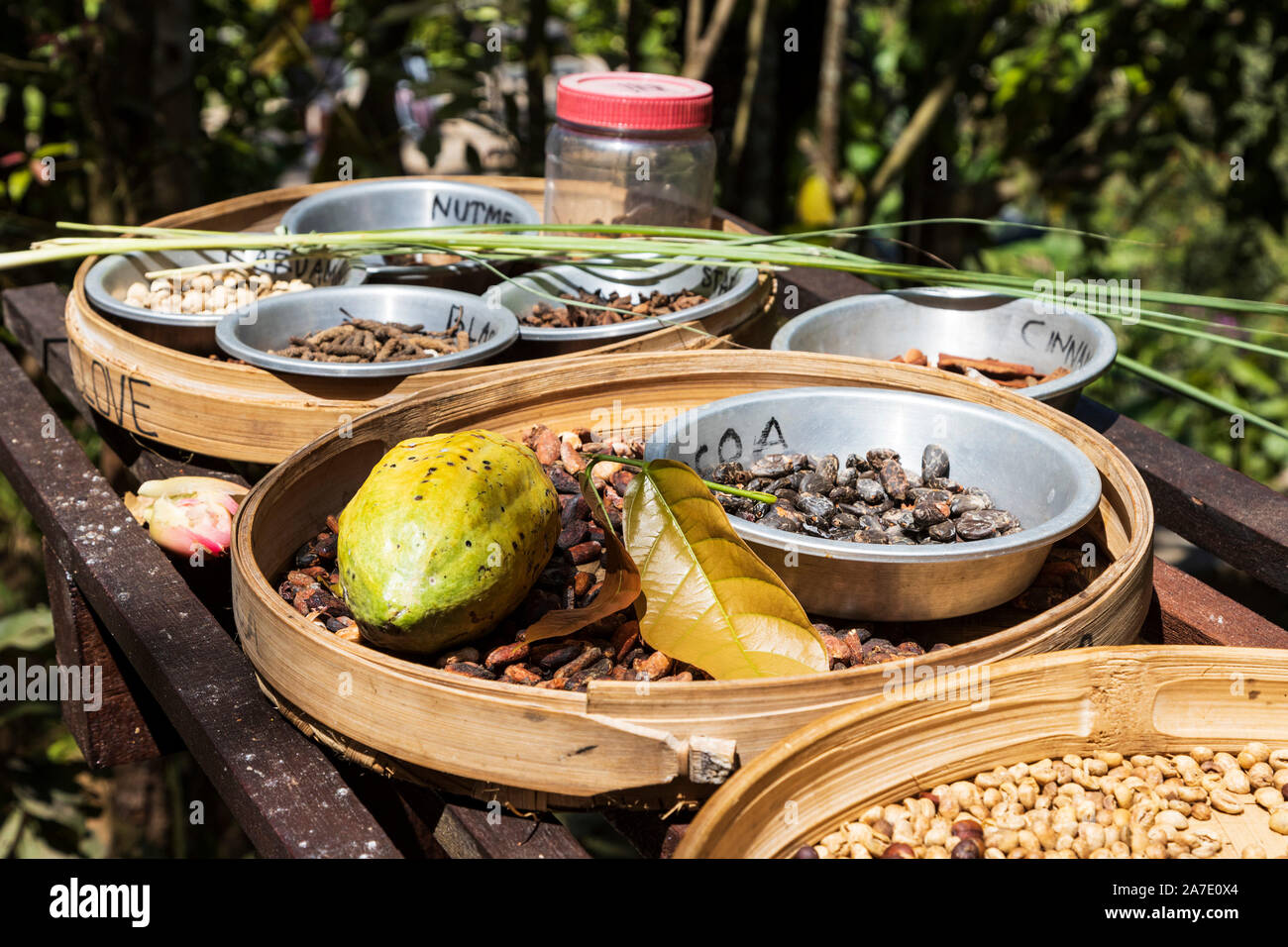 Selection of Indonesian spices, Bali, Indonesia, Southeast Asia, Asia ...