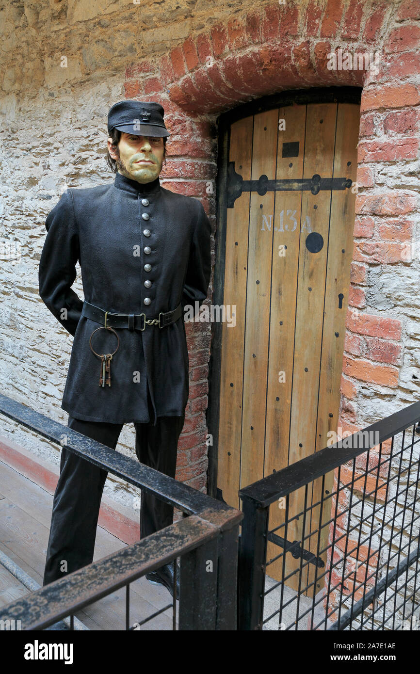 Cork cell hi-res stock photography and images - Alamy