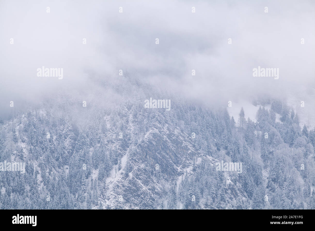 mountain covered with snow in winter fog Stock Photo - Alamy