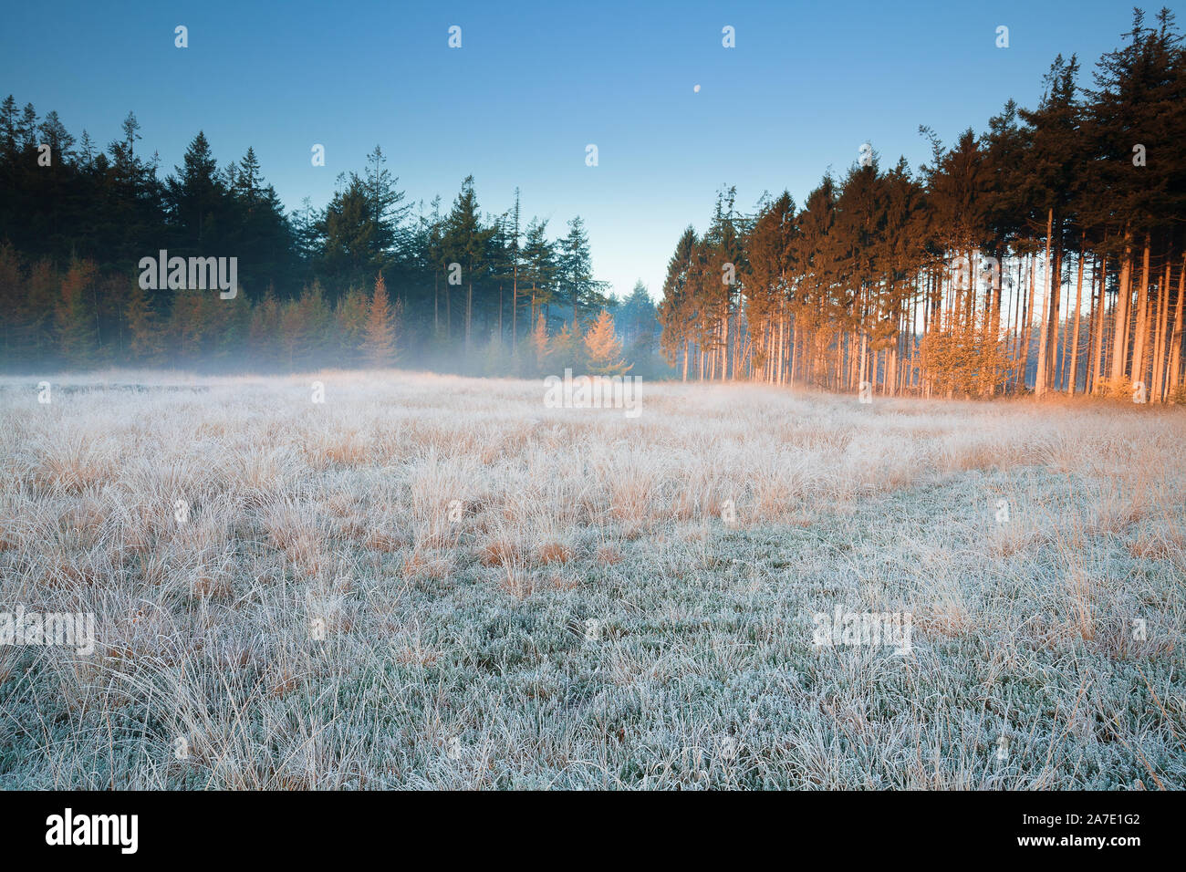 Sunrise over frosted meadow hi-res stock photography and images - Alamy