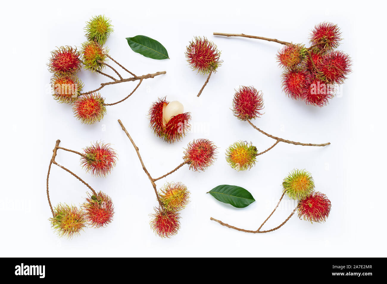 Top view of Rambutan isolated on white background Stock Photo - Alamy
