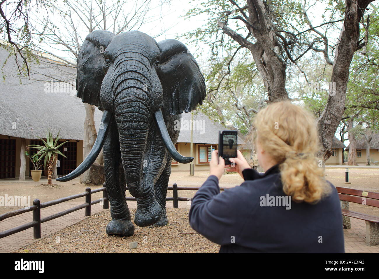 Letaba elephant museum hi-res stock photography and images - Alamy