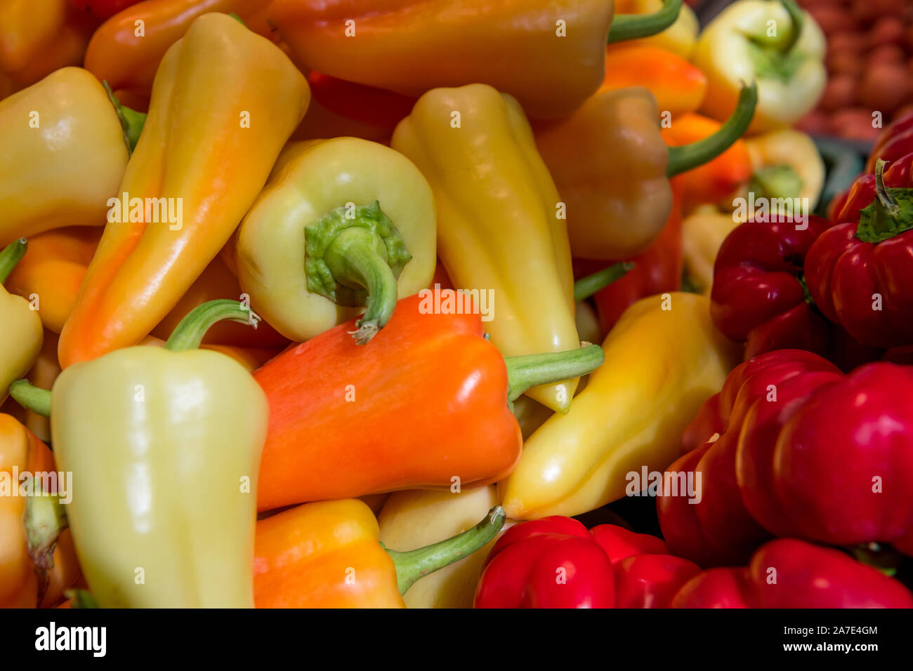 Freshly picked Pepperoni, in different colors at a market stall Stock ...
