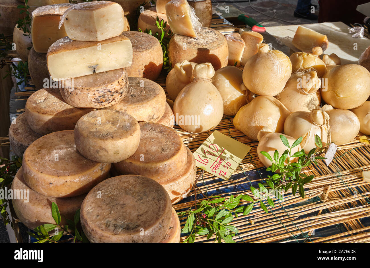 Cheese fly (piophila casei) hi-res stock photography and images - Alamy