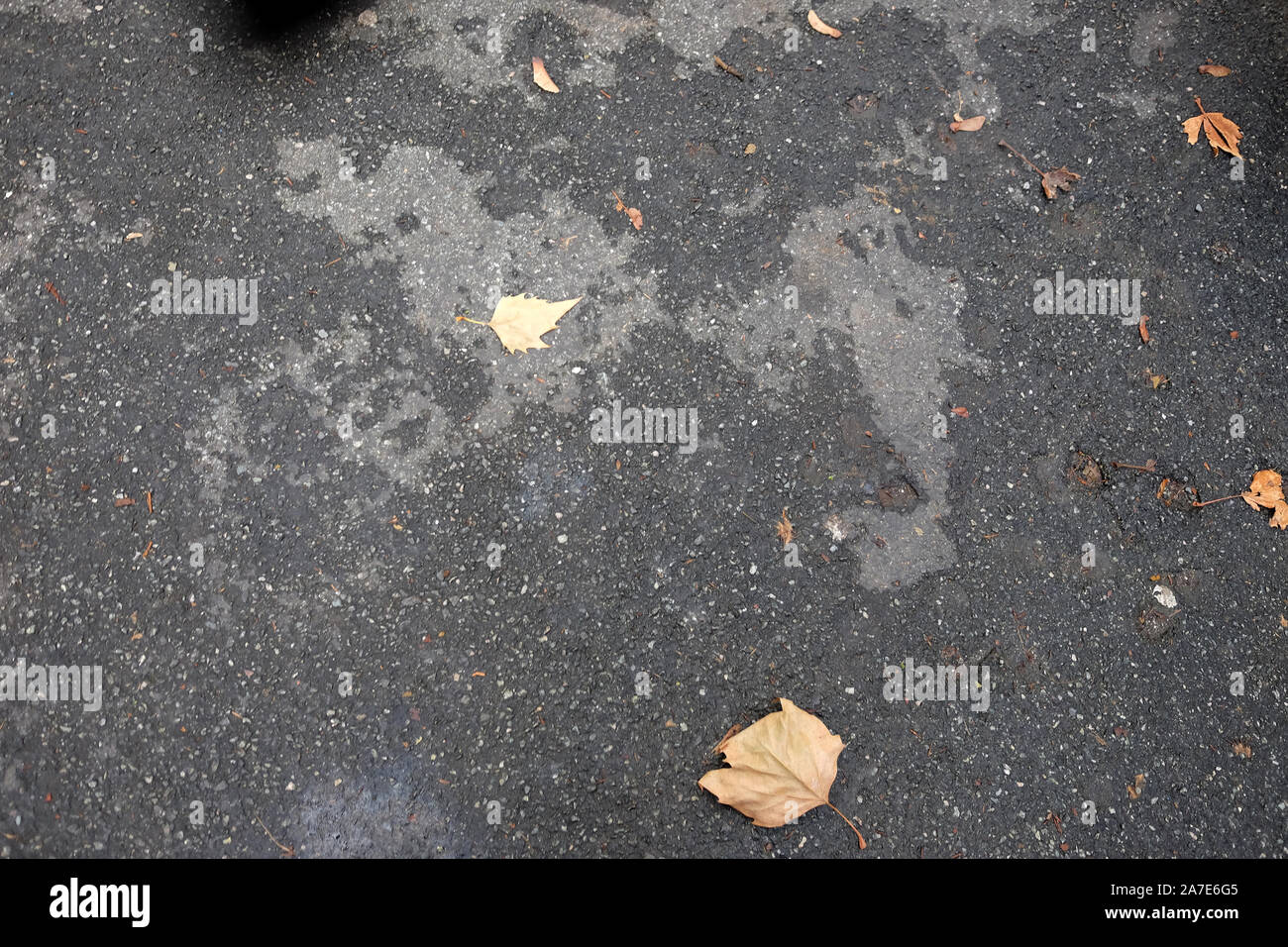 November 2019 - Damp asphalt and leaf background texture Stock Photo ...