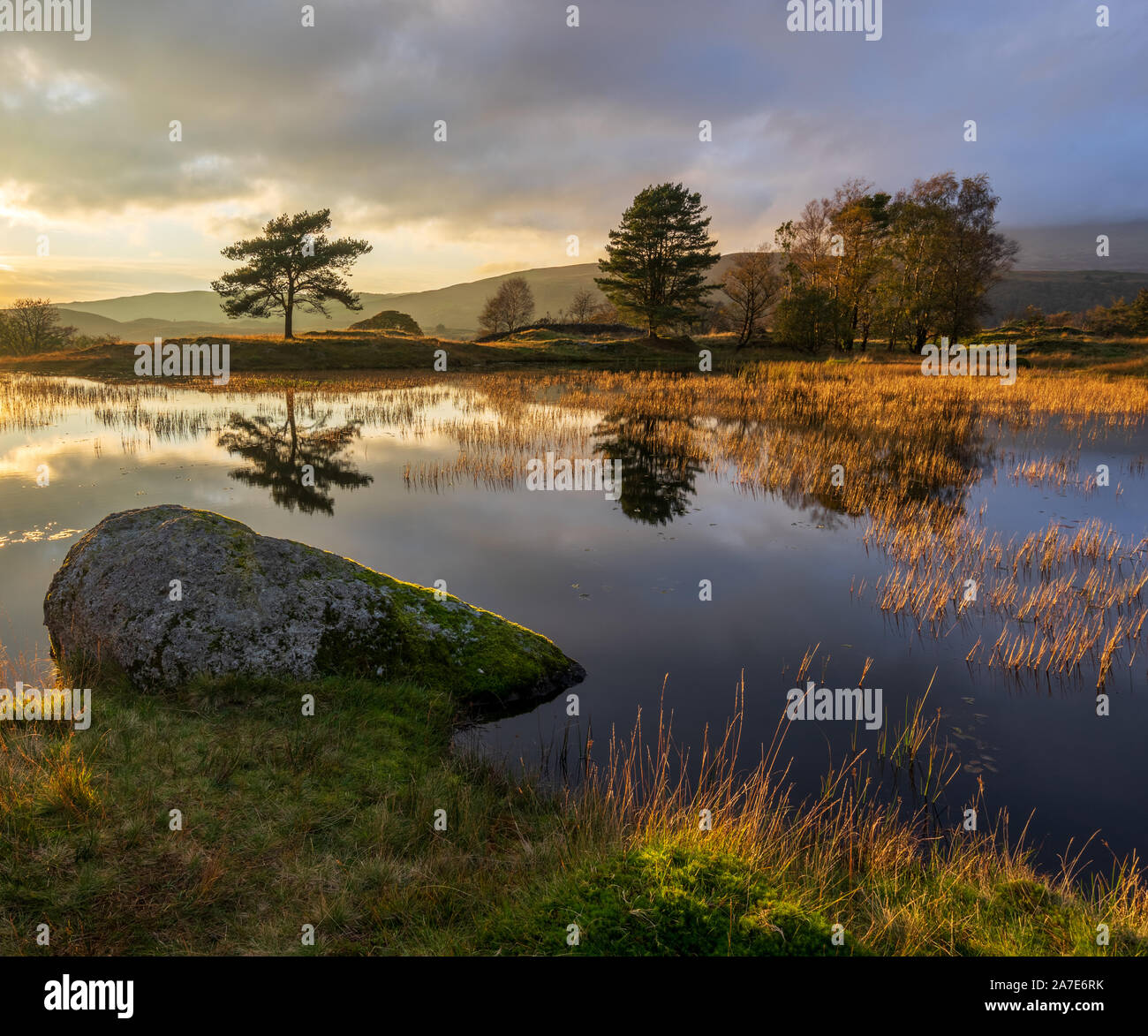 Strong golden light illuminates the landscape of Kelly Hall Tarn near ...