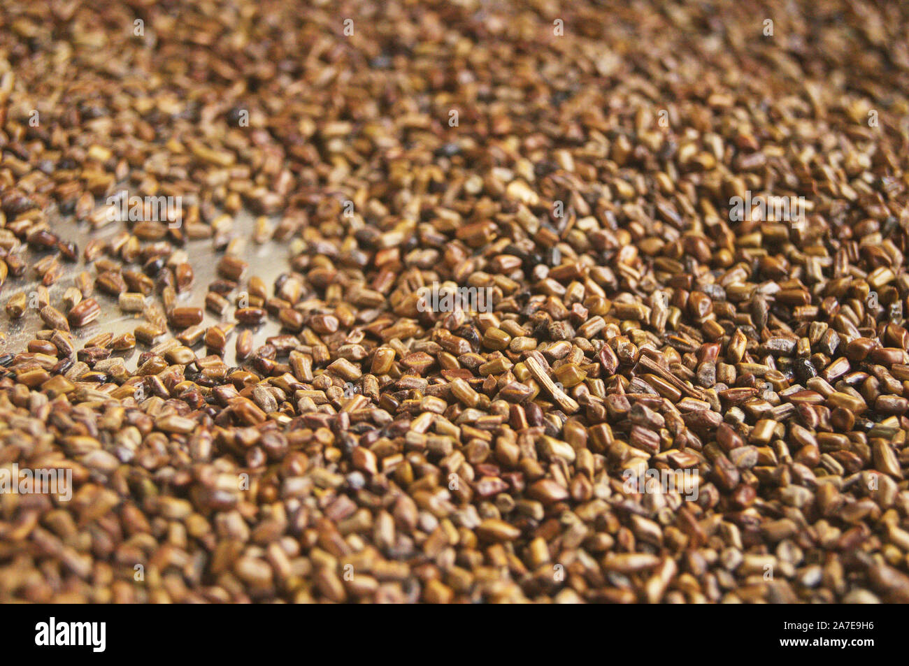 Dried buckwheat hi-res stock photography and images - Alamy