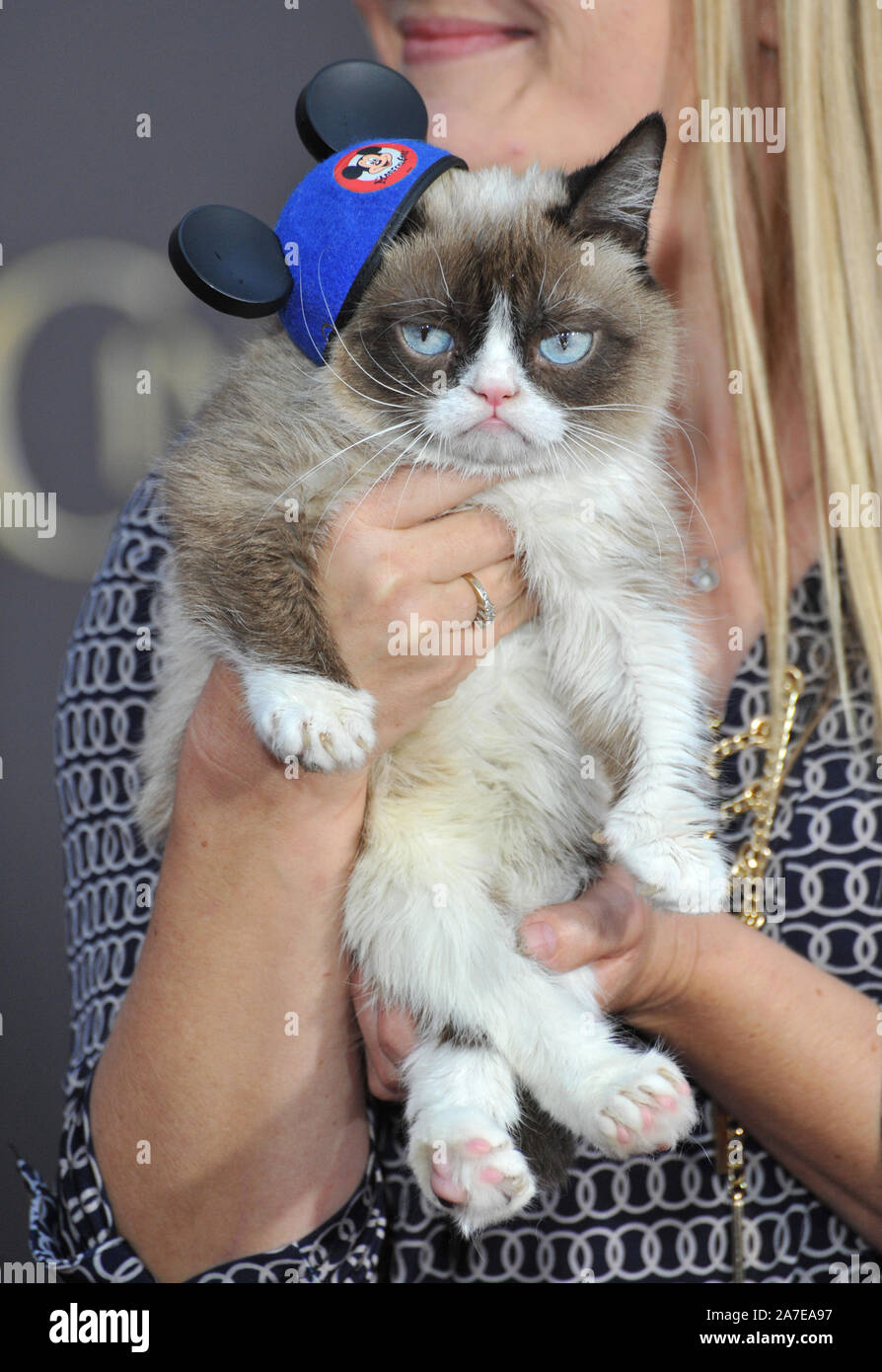 Cinderella 2015 movie mouse hi-res stock photography and images - Alamy